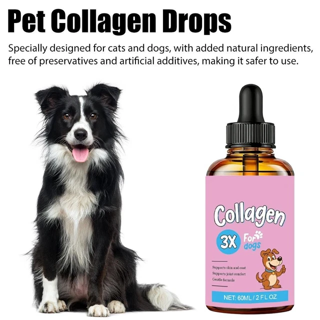 60 ML DOG Collagen Drops Hair And Skin Care Staple Food With Supplement ...