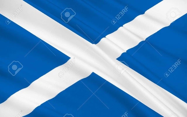 SCOTLAND ST ANDREW’S Flag 8x5ft Saltire Scottish House Flag Funeral ...