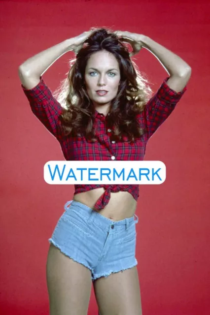 Catherine Bach Daisy Duke Wears Daisy Dukes Fine Art Archival Photo