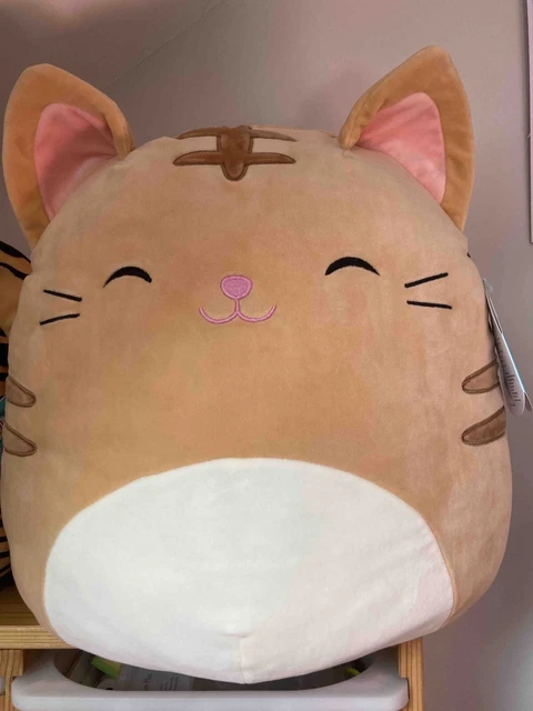 16” NATHAN THE Brown/Orange Cat Squishmallow Brand New With Tags £60.00 ...