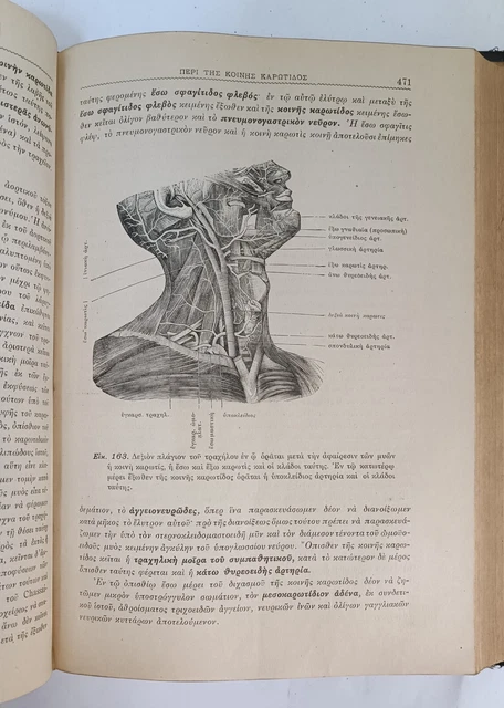 ANATOMY OF THE human body 1914 Greek Text ΑΝΑΤΟΜΙΚΗ ΤΟΥ ΑΝΘΡΩΠΟΥ £71.12 ...