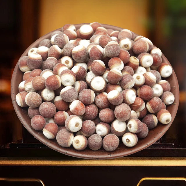 GORDON EURYALE SEED 350g Canned Red Gorgon with Skin Chinese Herbal ...