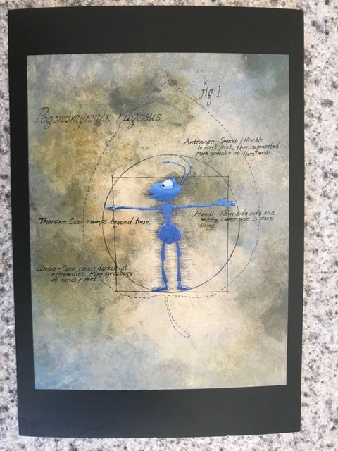 Postcard Unused Disney Pixar Animation Studios A Bug S Life Diagram Of