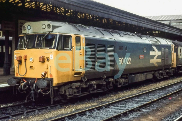 UK DIESEL TRAIN Railway Photograph Of Class 50 50022. Rm50-142 £1.70 ...