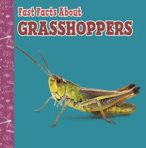 FAST FACTS ABOUT Grasshoppers (Fast Facts About Insects and Spiders) by ...