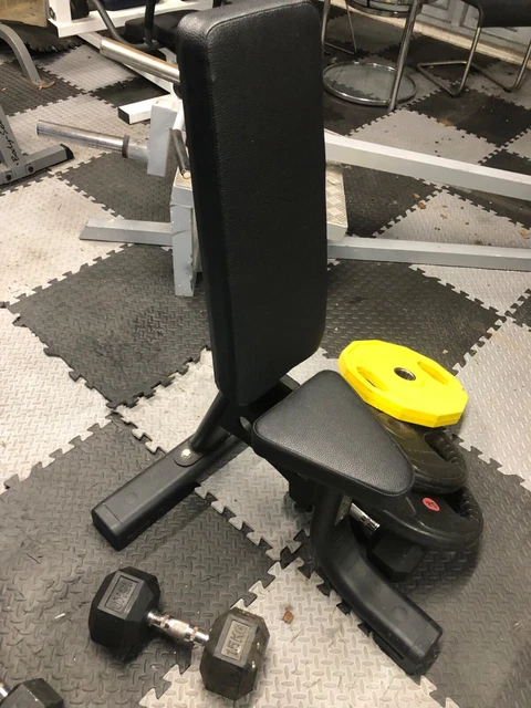WEIGHTS BENCH JORDON UPRIGHT inc 15 kg weight plate £78.70 - PicClick UK