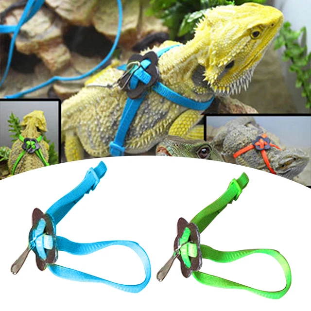 PET LEASHES SET Break Free No Constraint Unbreakable Lizard Harness ...