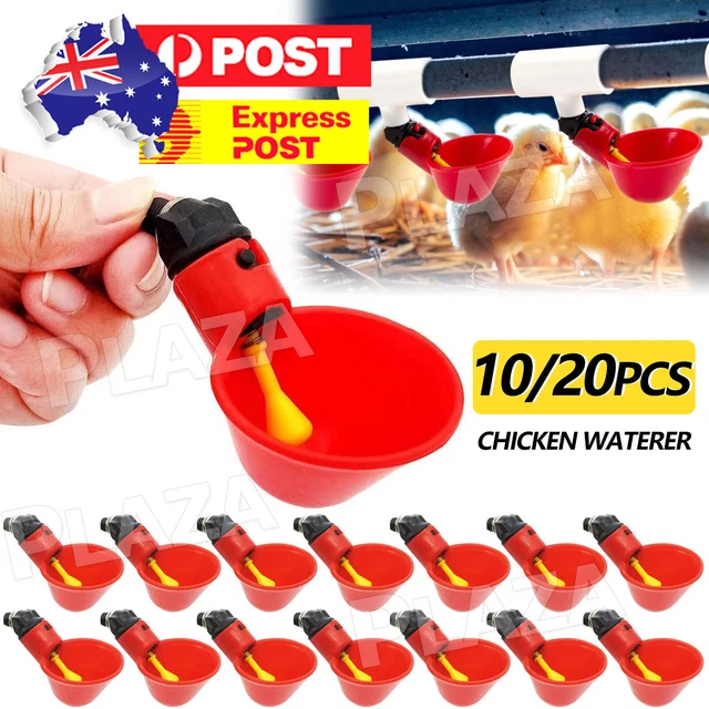 10X/20X AUTOMATIC CUPS Water Feeder Drinker Chicken Waterer Poultry ...
