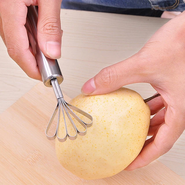 COCONUT SHAVER STAINLESS Steel Kitchen Fruit Tool Fish Skin Scale ...