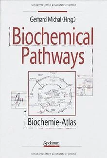 BIOCHEMICAL PATHWAYS: BIOCHEMIE-ATLAS de Gerhard Michal | Livre | état ...