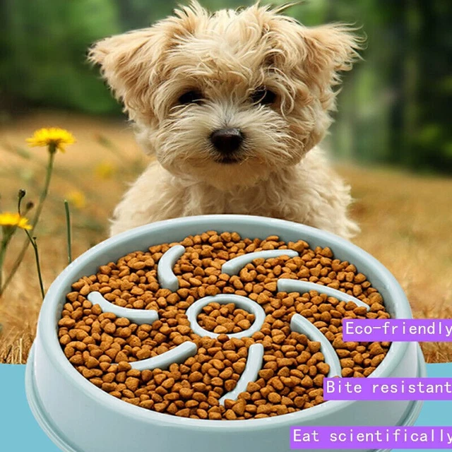 PET FEEDER DOG Cat Bowl Anti-Gulp Slow Eating Food Plate Non-slip ...