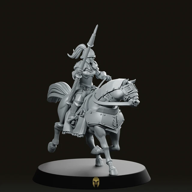 DND NINA SPEARRIDER Miniature Dungeons & Dragons Pathfinder £8.50 ...