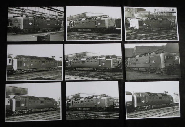 DELTIC CLASS 55 Locomotive Photographs - 9 Different 7"x5", Various ...