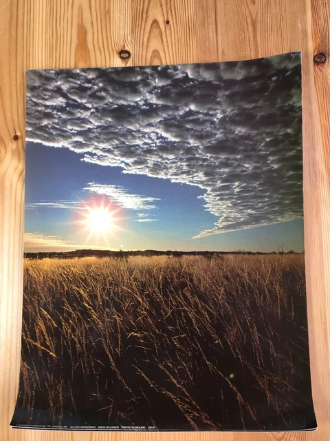 VINTAGE ORIGINAL 1987 Athena Card Poster Simon Wilkinson Golden ...