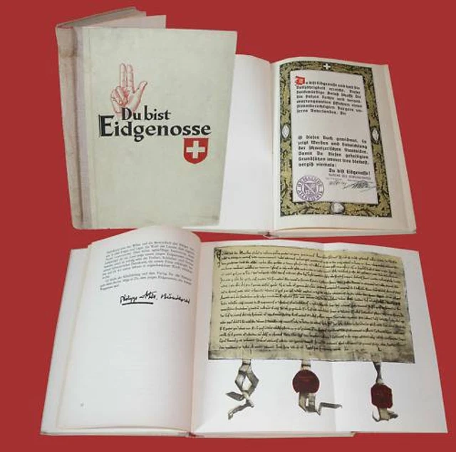 DU BIST EIDGENOSSE - sei un cittadino svizzero EUR 25,00 - PicClick IT