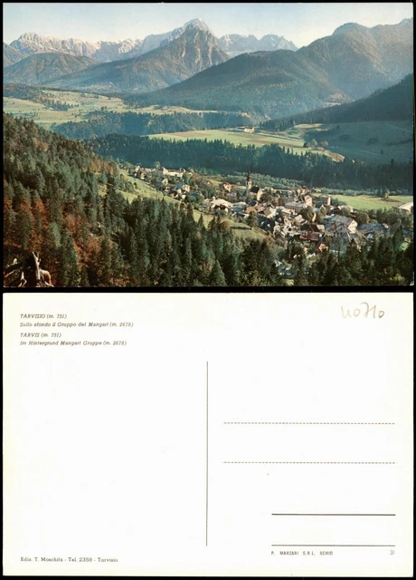 TARVIS TARVISIO TRBIŽ Umland In the background the Mangart Group (d ...