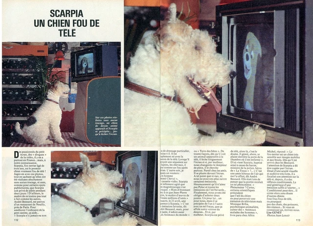 COUPURE DE PRESSE Clipping 1984 Scarpia chien fou de Télé (2 pages) EUR 5,00 - PicClick FR