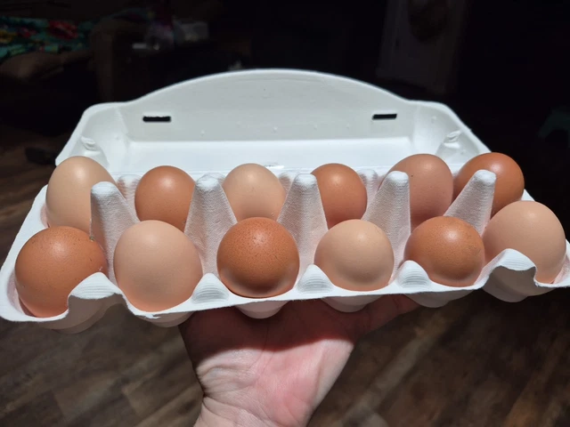 🐣🤎12+2 PICK COLOR Hatching Eggs Barnyard Mix 🤎🐣 $0.24 - PicClick