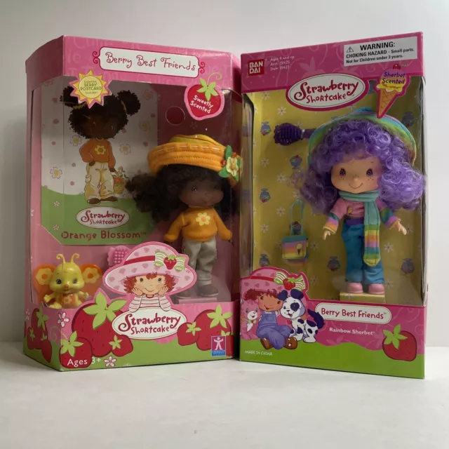 2003/4 STRAWBERRY SHORTCAKE Berry Best Friends Orange Blossom & Rainbow ...