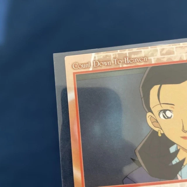 CONSERVATION À LONG terme de la carte Conan de DetectIVe dB EUR 80,27 ...