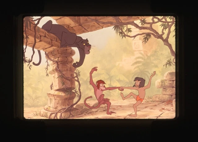 Jungle Book Disney Animation Mowgli Dancing Original 35mm Transparency