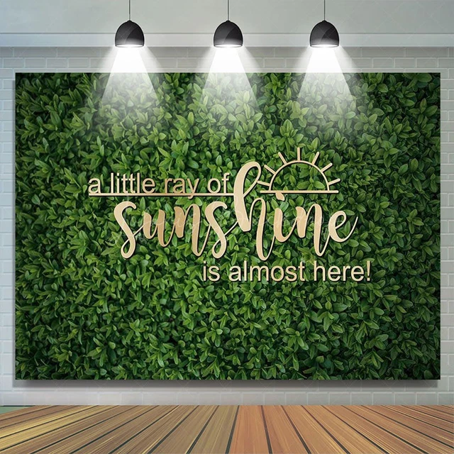 SPRING LITTLE RAY Of Sunshine Baby Shower Backdrop $36.09 - PicClick AU