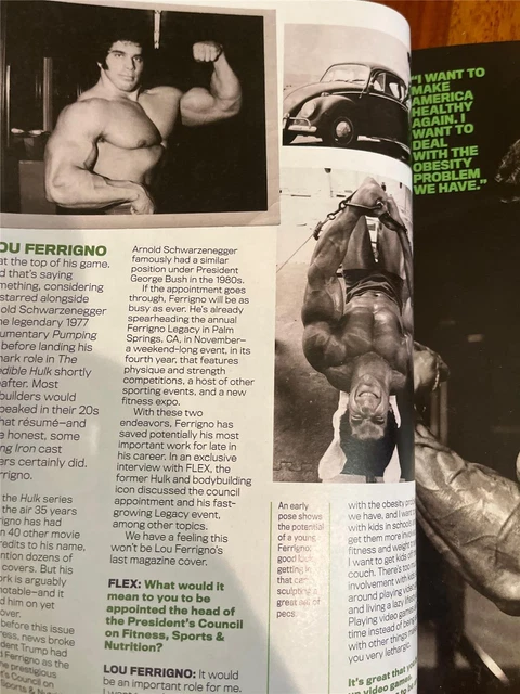 FLEX BODYBUILDING MUSCLE magazine Incredible Hulk LOU FERRIGNO 11-17 £ ...