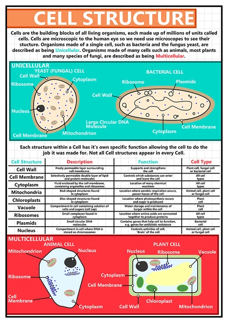 EDUCATIONAL GCSE SCIENCE Posters A3 - Revision Pack Set of 10 £15.49 ...