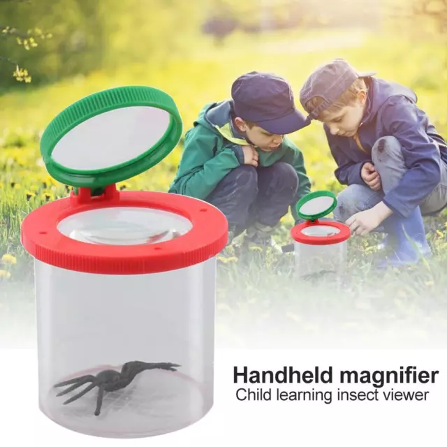KINDER ZYLINDRISCHE CRAWLER Spinne Insekt Box Lupe Lupe (Rot) EUR 3,99 ...