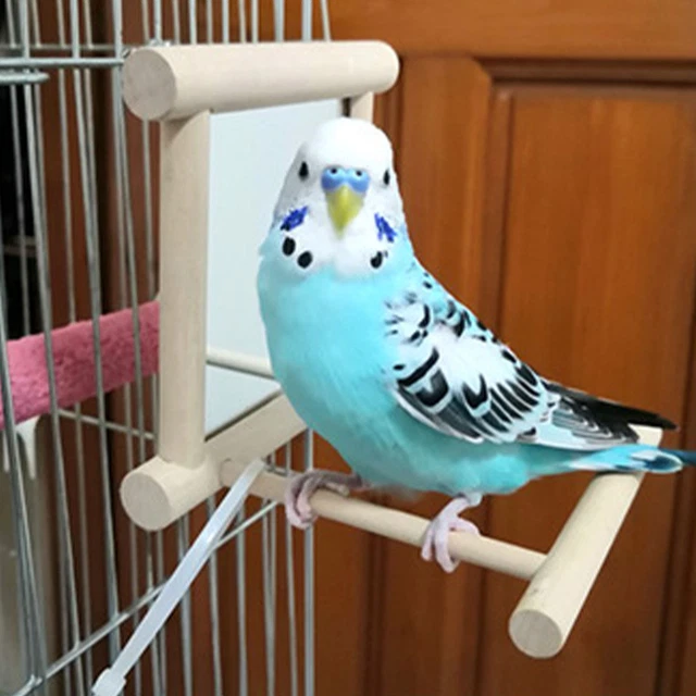NEW BIRD MIRROR With Perch Parrot Wood Perches Cage Swing Toy Parakeet ...