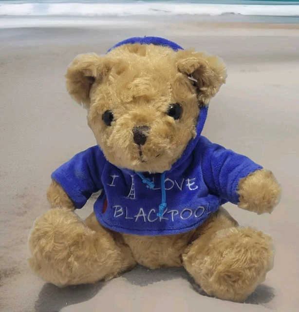 BLACKPOOL I LOVE Blackpool Teddy Bear Souvenir Cuddly 7"Plush Soft Toy ...
