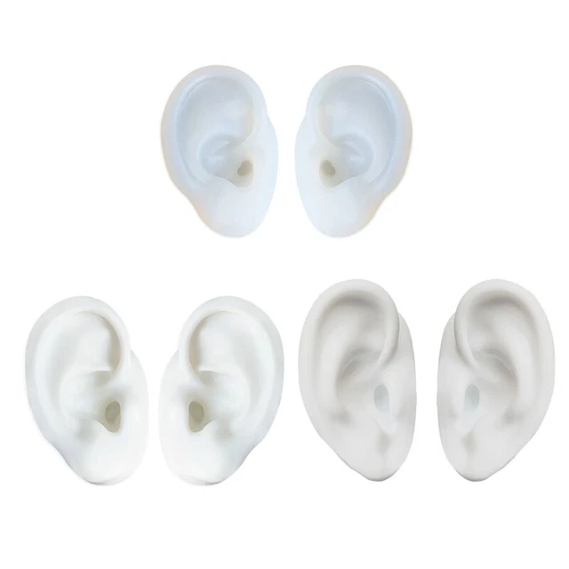 EAR MODEL PUNCTURE Perforation Practice Teaching Display Props Ear ...