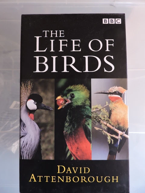 DAVID ATTENBOROUGH/BBC LIFE Of birds 3set VHS Box Set £4.36 - PicClick UK