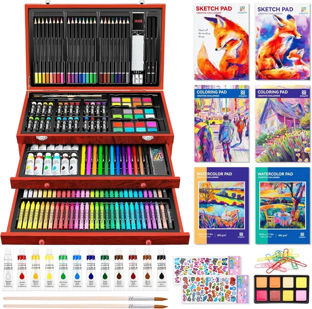 ART SUPPLIES, 269 Piece Deluxe Art Set with 6 Drawing Pads, Watercolor ...