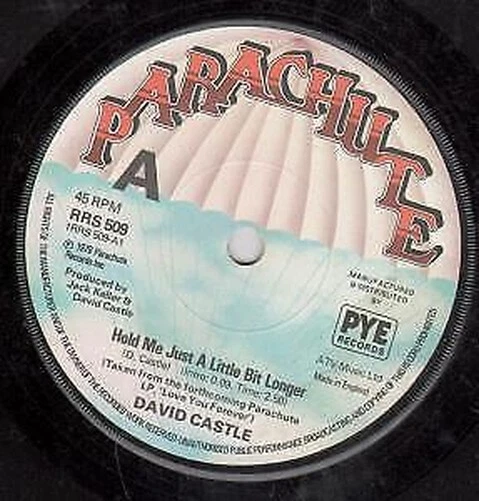 DAVID CASTLE HOLD Me Just A Little Bit Longer 7" vinyl UK Parachute ...