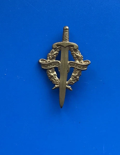 #7075#JOLI INSIGNE MILITAIRE "Brevet de Préparation Militaire ...