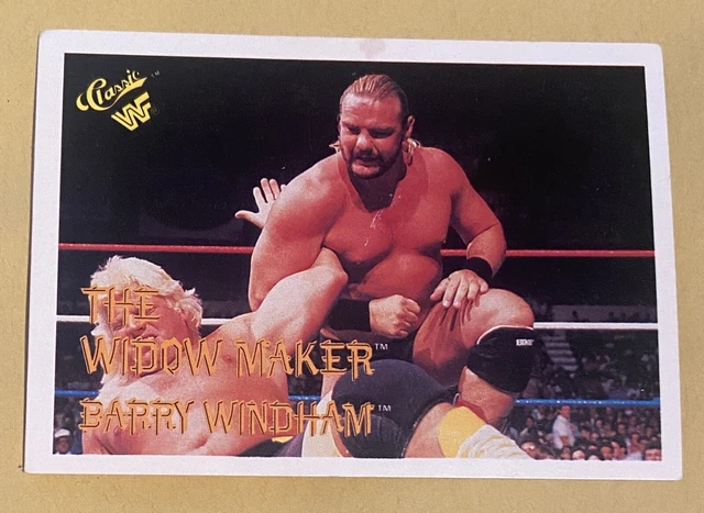 WWF WWE WCW Classic 1990 Barry Windham Widow Maker Wrestling Trading ...