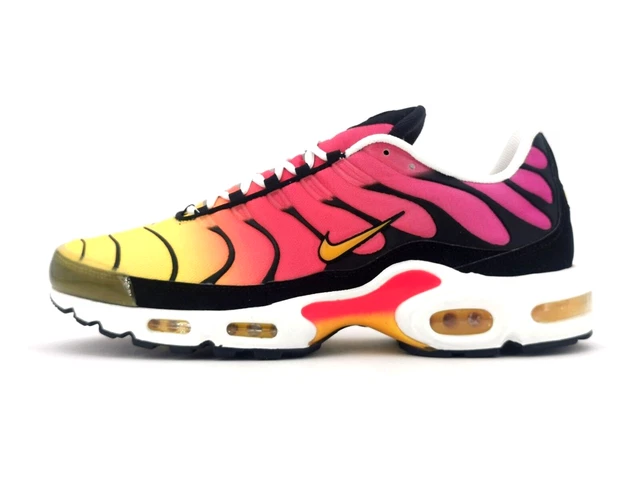 NIKE AIR MAX Plus Tn Rainbow - 44.5eu/10.5us EUR 279,00 - PicClick FR