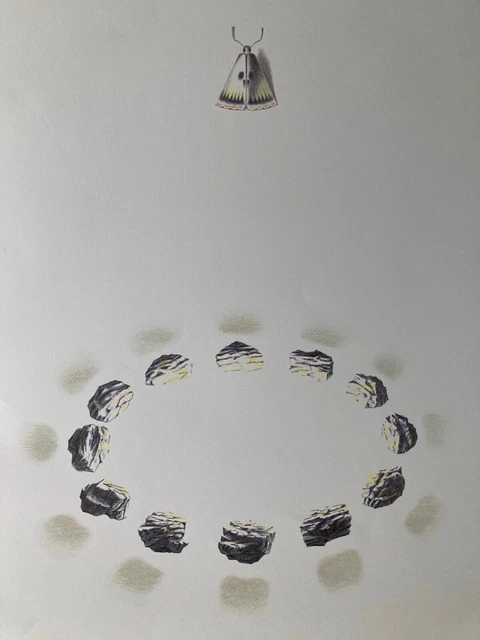 ALFRED BAST SIGNIERTE Orig. Lithographie - Kreis und Falter - 1988 ...