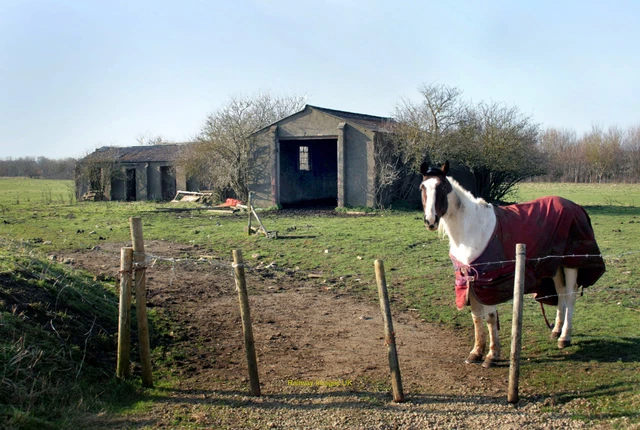 PHOTO 12X8 (A4) RAF Shellingford Remnant (And Horse) c2011 £6.00 ...