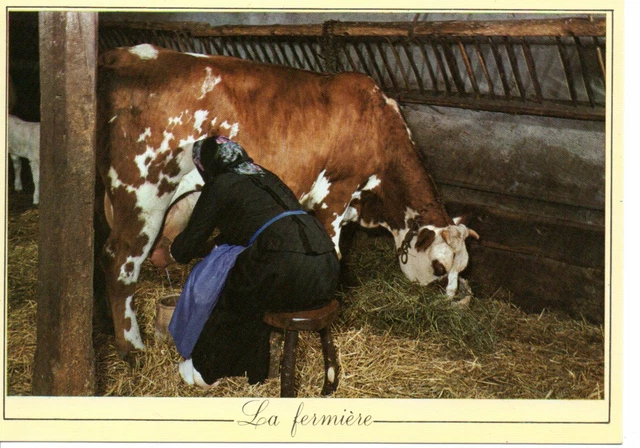 CPA CPM LES Metiers D'antan 20 - La Fermiere La Traite Des Vaches EUR 5 ...