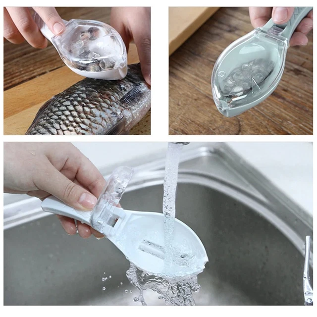 FISH SCALE GRATER Fish Scaler Fish Cleaning Tool Scaler with Cover ...