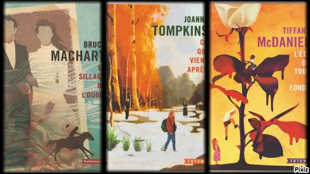 COLLECTION TOTEM : JoAnne Tompkins, Bruce Machart, Tiffany McDaniel EUR ...