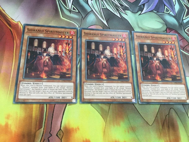 OP06-EN015 X3 SHIRANUI SPIRITMASTER Common Mint Condition Yugioh EUR 2 ...
