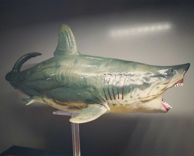 PNSO MEGALODON MODEL Figure Prehistoric Ocean Animal Base Toy Collector ...