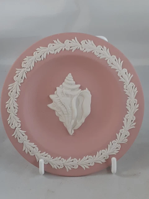 WEDGWOOD CONCH SHELL Plate Pink White Jasperware 11 cm Vintage British ...