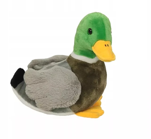 MASKOTKA PLUSZOWA DZIKA Kaczka kaczuszka 18 cm Ptak Pluszak Dubi £8.71 ...