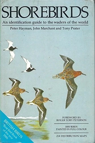 SHOREBIRDS: AN IDENTIFICATION Guide to the Waders of the World - Hayman ...
