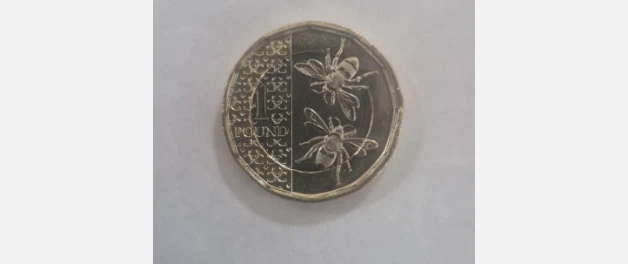 RARE £1 BEE coin 2025 King Charles Printing Error ( 1 OF 1 ...
