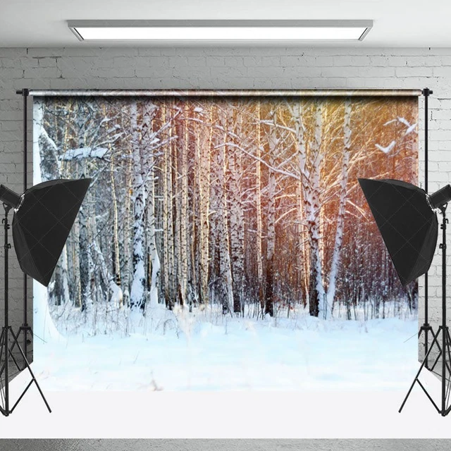 THICK SNOW AND Woods Winter Photography Backdrop $36.09 - PicClick AU